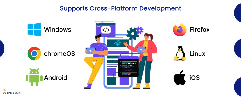 Why you should choose ReactJS for your next web development project?