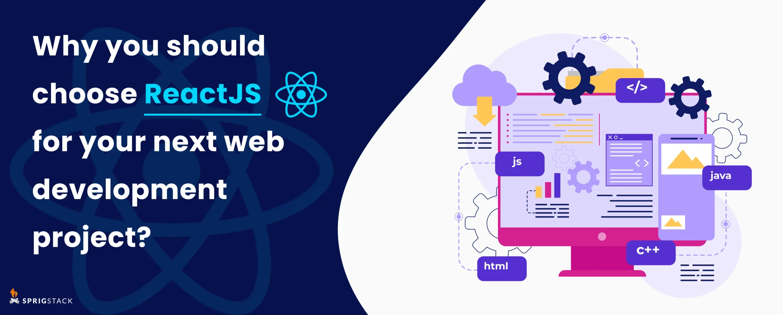 Why you should choose ReactJS for your next web development project?